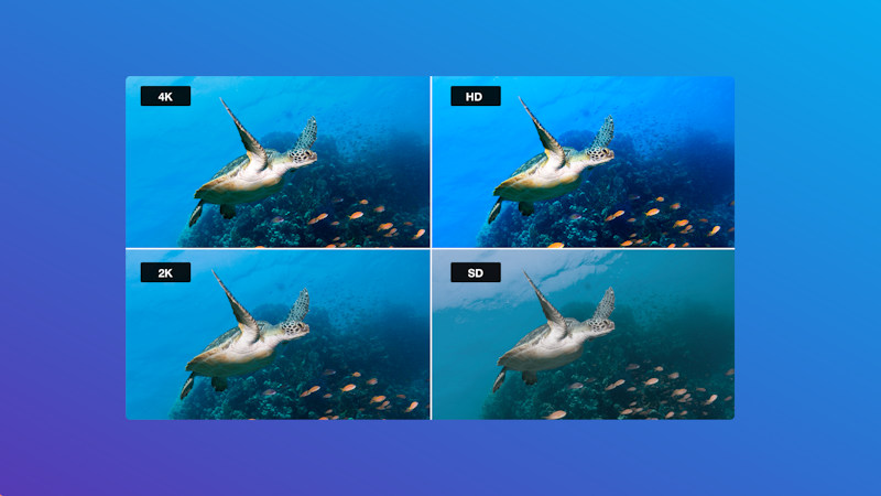 The pro guide to video resolution and quality | Vimeo